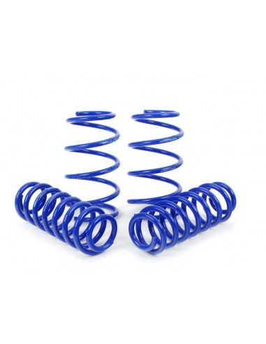 RacingLine Sport short springs kit for Volkswagen Golf 7 R
