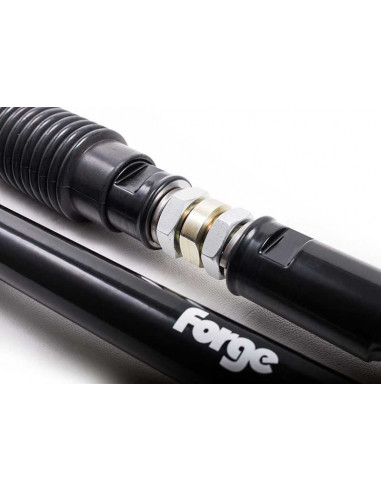 Pair of Forge Motorsport Adjustable Rear Control Arms For MINI Cooper S ...