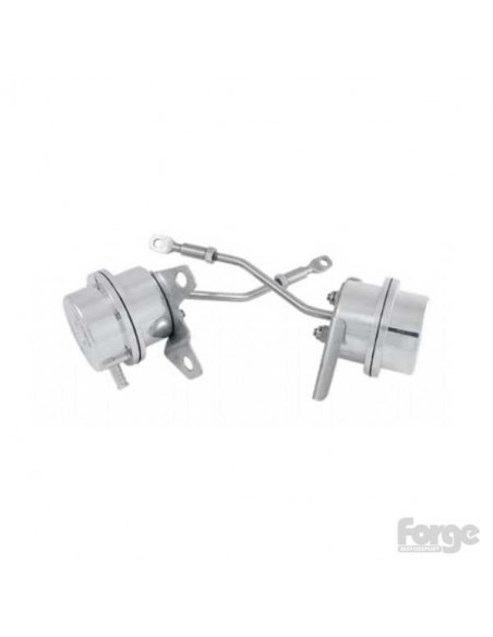 FORGE Motorsport Adjustable Piston Double Wastegate Kit for Mitsubishi ...