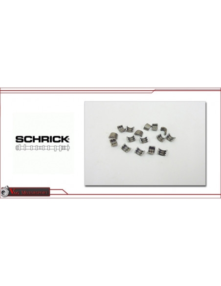 SCHRICK golf mk2 16v kr valve keys