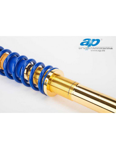 AP Sport Coilover Kit For Volkswagen Polo 6N 6N2 all engines