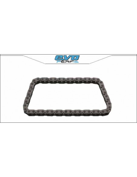 camshaft timing chain Rs4 B5