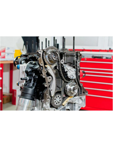 Kit de distribución para motor Audi Rs3 8v2 TTRS 8S 2.5 TFSI 400cv DNWA ...