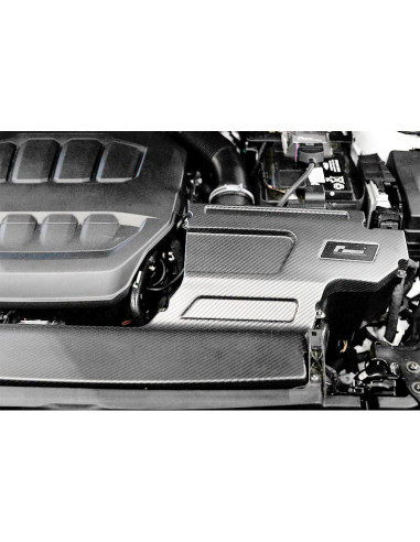 Couvercle Admission R600 carbone brillant glossy Mat RacingLine pour ...