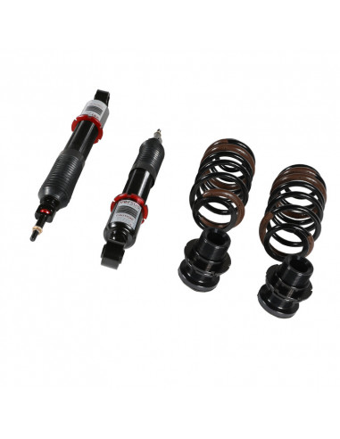 VERSUS coilover kit for AUDI R8 all models