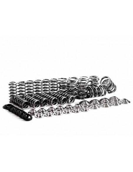 Reinforced Supertech Valve Springs and Titan retainers Kit Audi Engine ...