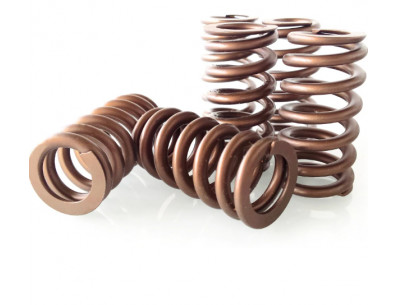 Audi Reinforced Valve Spring Kit 2.0 TFSI EA113 and EA888 Gen1 Gen2 ...