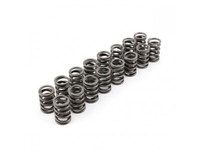 STR Performance reinforced springs and valve cups