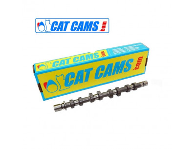 CAT CAMS camshaft for BMW M3 E36 3.0L 24v 28.6hp S50 B30 engine with ...