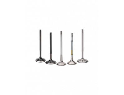 20 Reinforced Supertech Valves for Volkswagen Audi with 1.8 Turbo 20VT ...