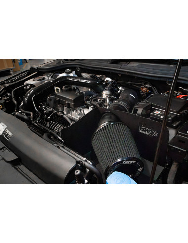 FORGE Motorsport intake kit for Volkswagen Audi SEAT SKODA 1.0 TSI ...